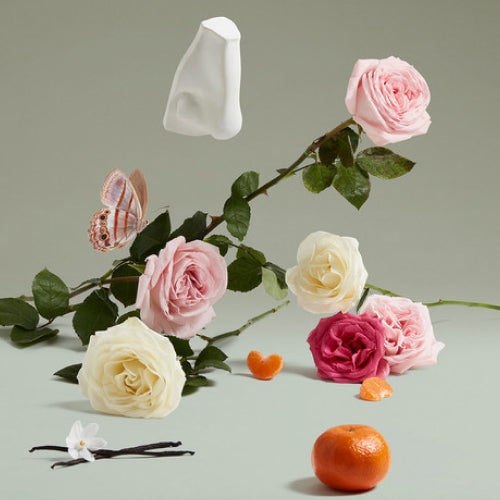 Penhaligon's The Coveted Duchess Rose For Women Eau De Parfum – LEVEL ...